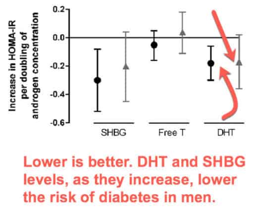 Testosterone vs. DHT. Should you take either one?