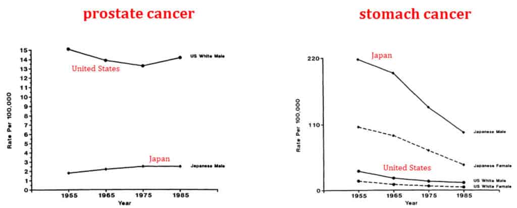 Why Japanese men almost NEVER have prostate problems...