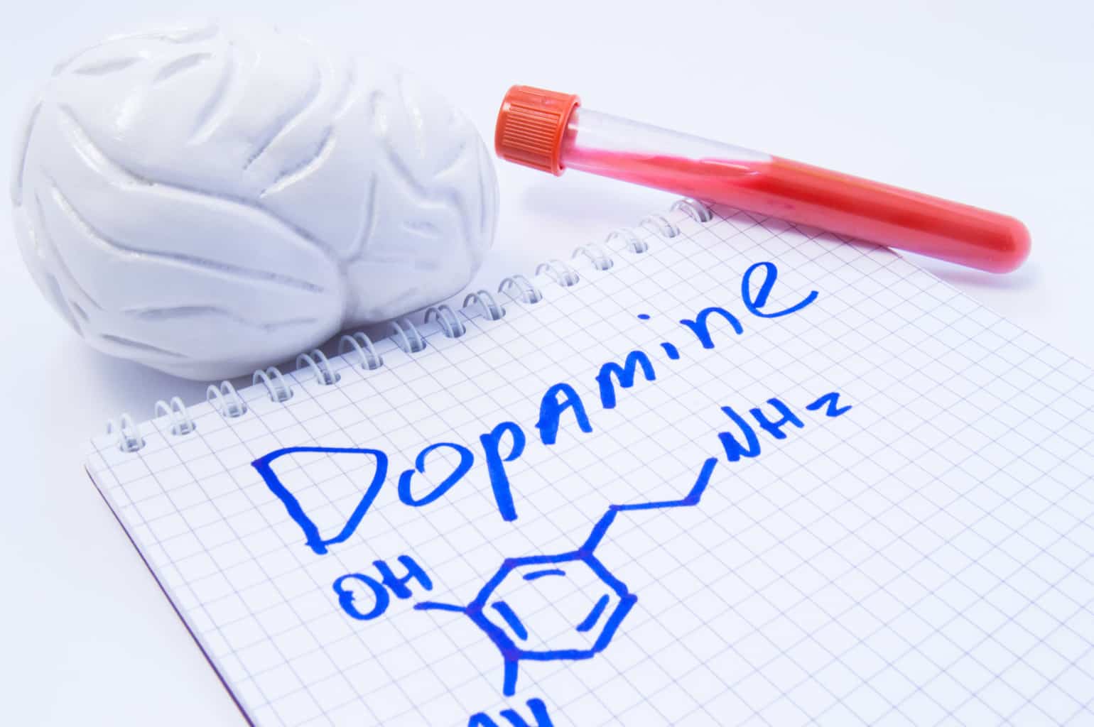 Raise your dopamine for great “rockiness” | Daily Medical Discoveries