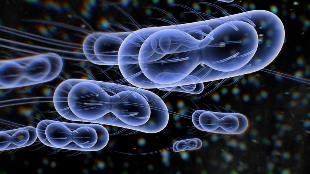 Nanobacteria Archives | Daily Medical Discoveries