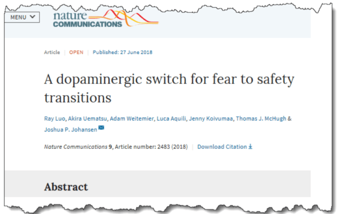 This Cured My Constant Nagging Anxiety